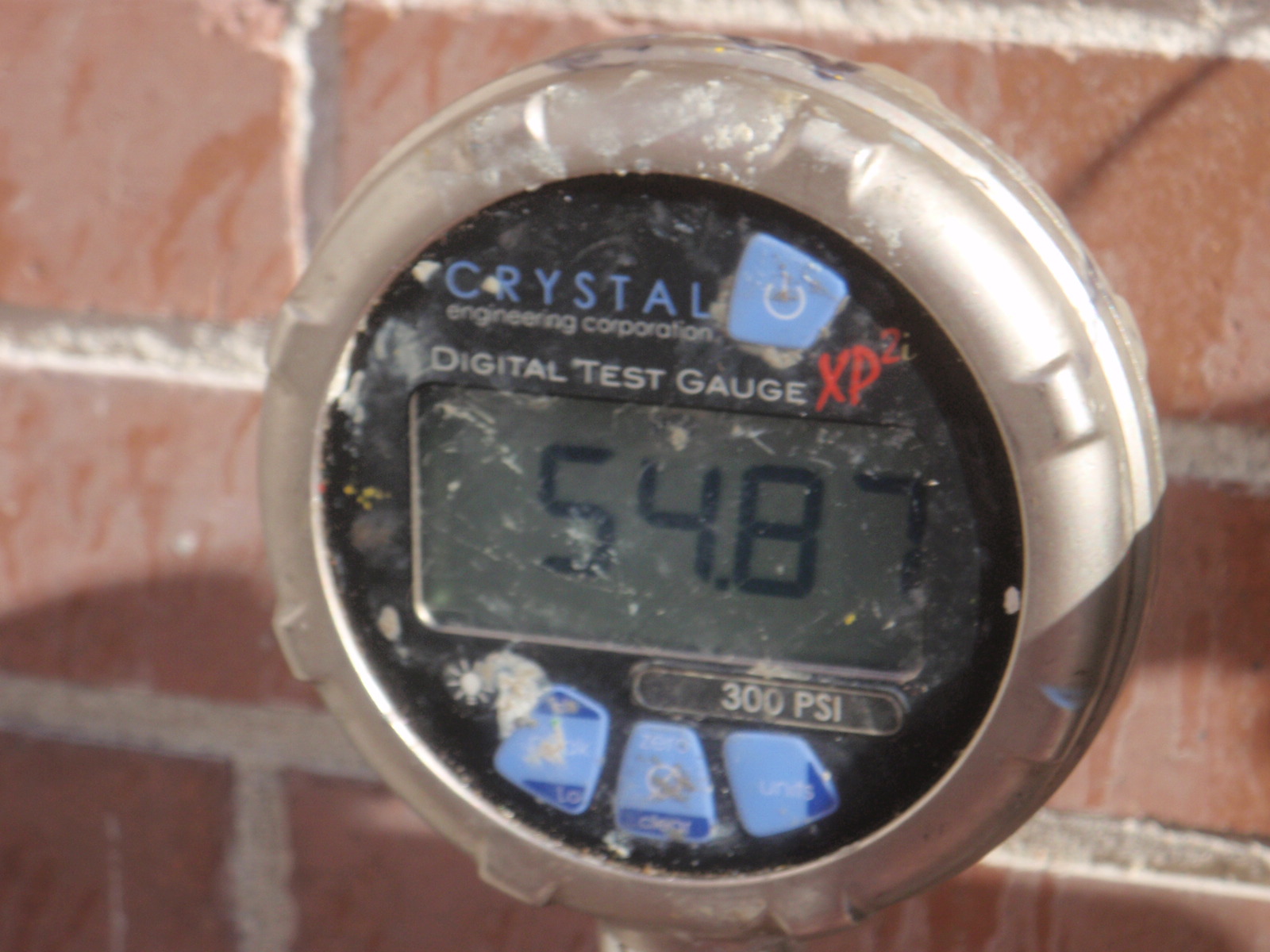 Trunk Slammer Stories